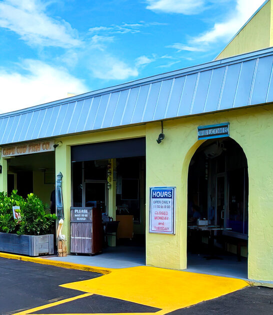 tastiest fried clams florida ftr