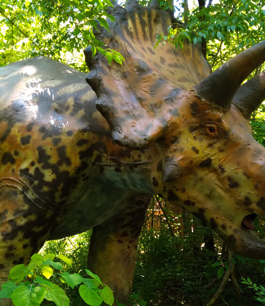 tennessee ancient park discovery ftr