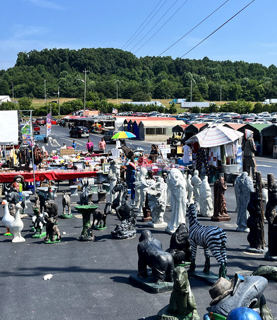 tennessee bargain enormous flea ftr