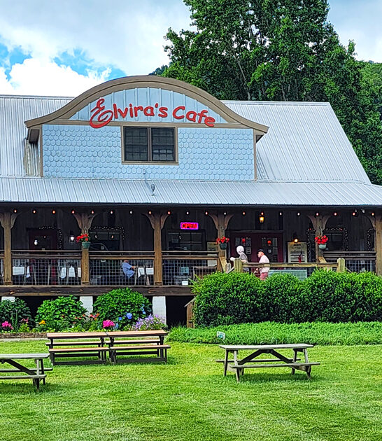 tennessee cafe charming waffles ftr