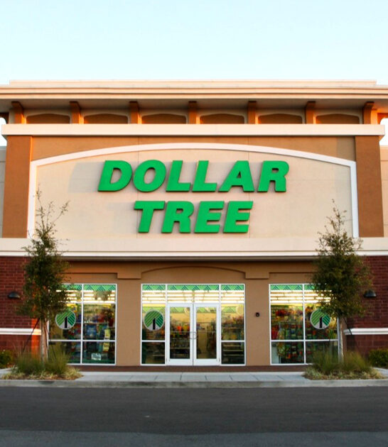 texas authentic dollar store ftr