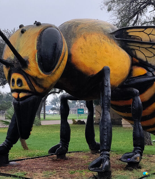 texas epic attraction stop ftr