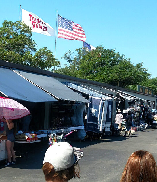 texas good flea enormous ftr