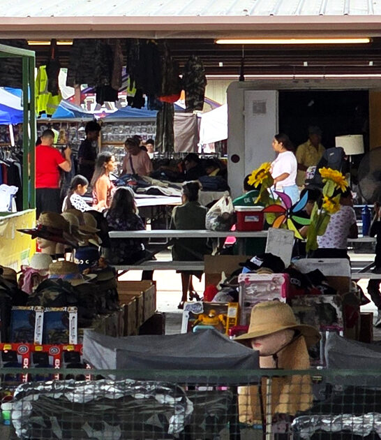 texas swap meets deals ftr