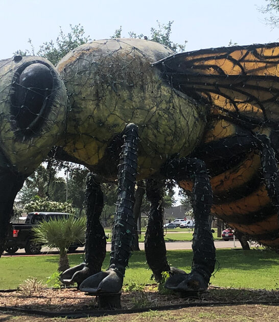 texas unreal roadside sight ftr