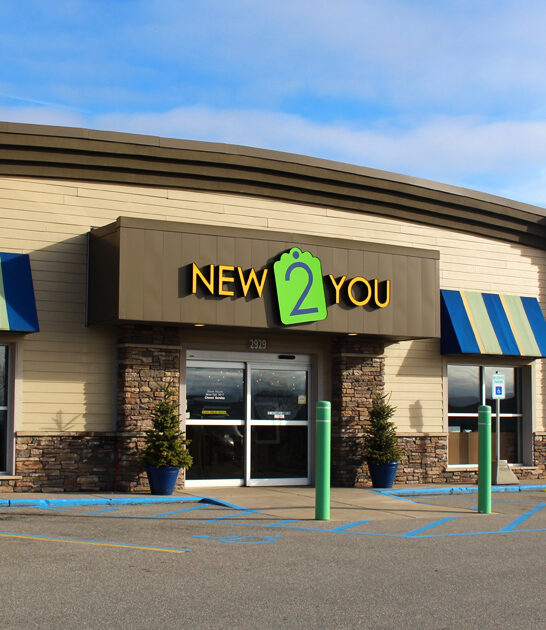 thrift amazing stores michigan ftr