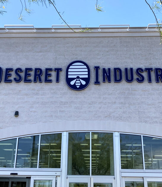 thrift bargains arizona store ftr