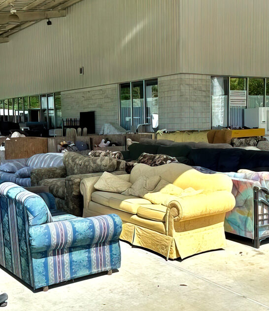 thrift enormous north carolina ftr