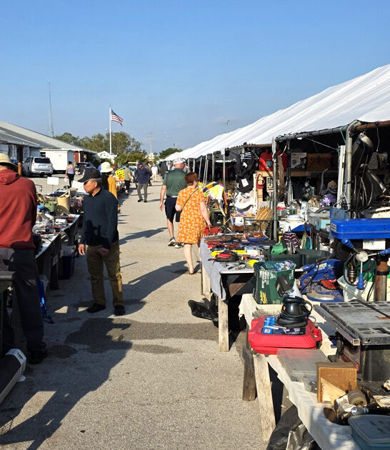 thrift florida rare treasures ftr