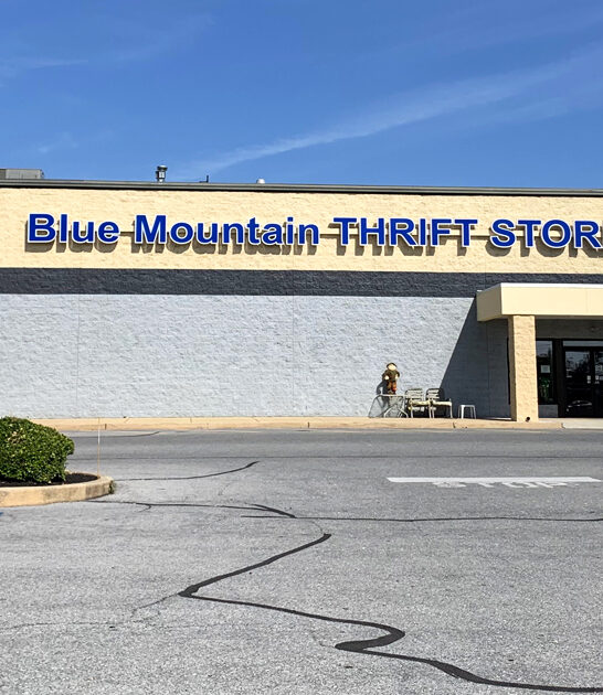 thrift hunters pennsylvania paradise ftr
