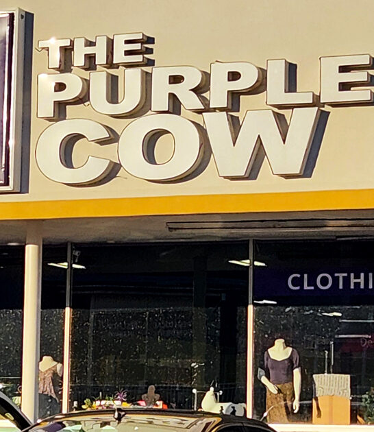 thrift shopping louisiana adventure ftr