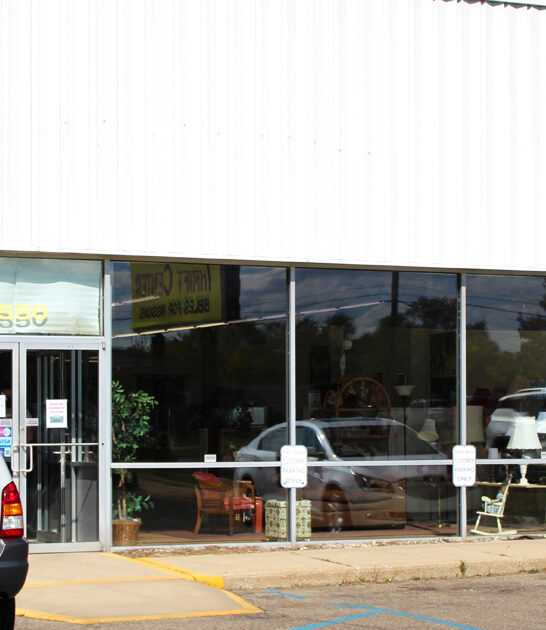 thrift store michigan budget FTR