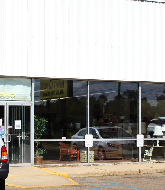 thrift store michigan finds FTR