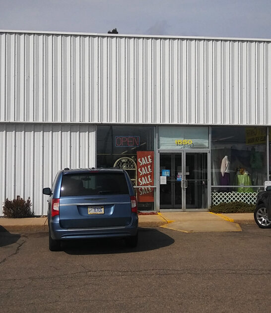 thrift store michigan treasures FTR