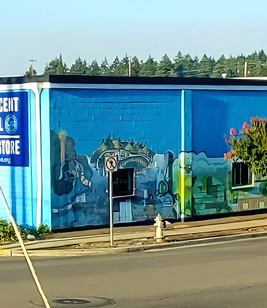 thrift store washington gigantic ftr