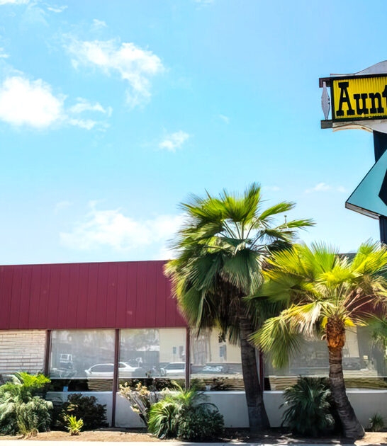 timeless diner california experience ftr