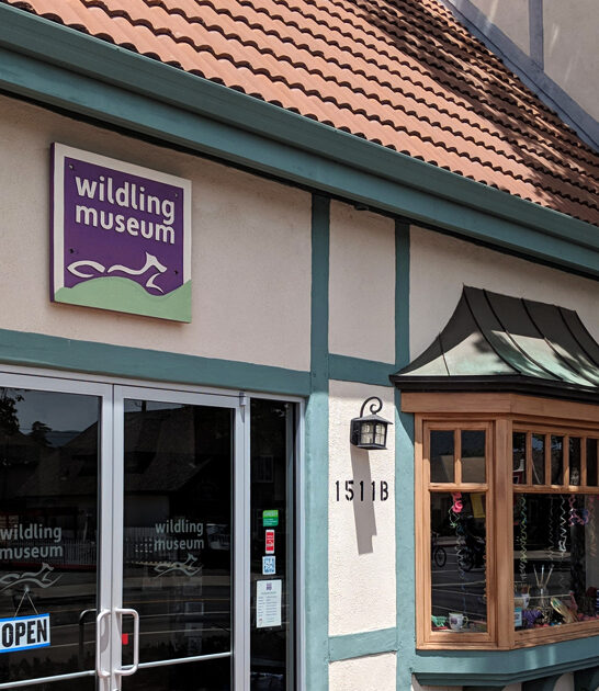 tiny art museum california ftr