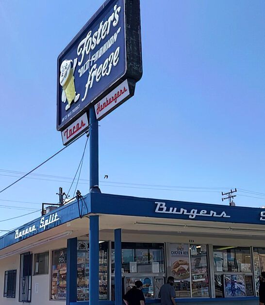 tiny stand california fries ftr