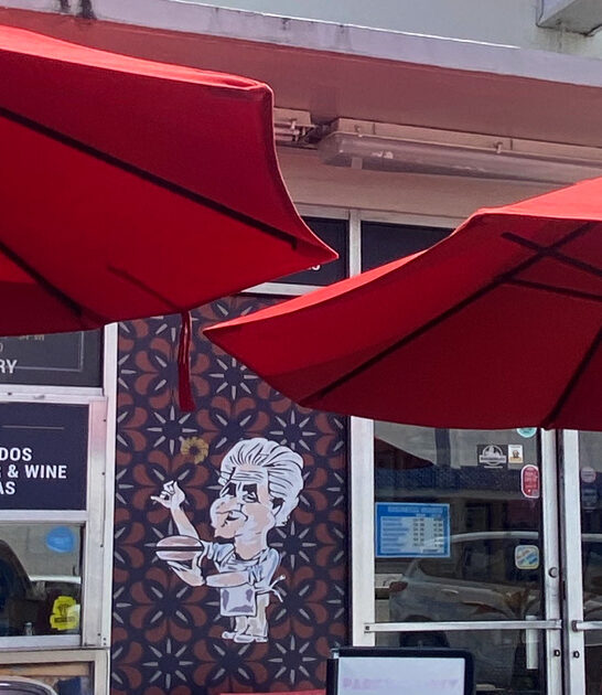 tostones florida delicious restaurant ftr