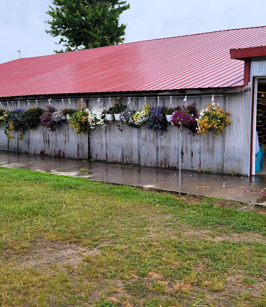 town flea market michigan ftr