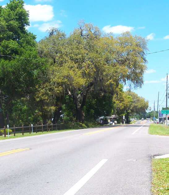 town florida natural wonders ftr