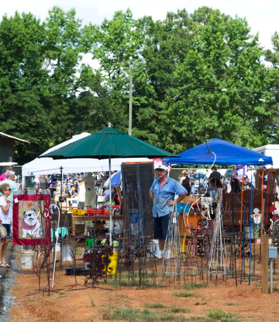 treasure hunt flea louisiana ftr