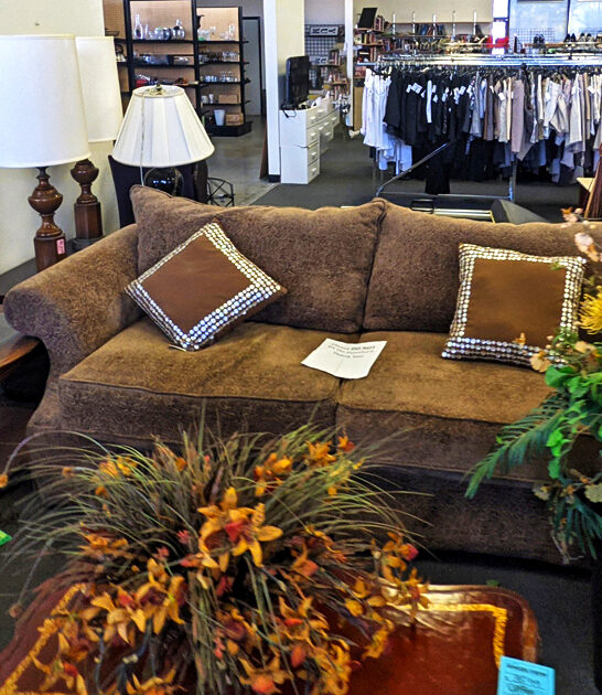 treasure hunting california thrift ftr
