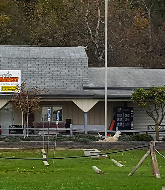 treasure hunting michigan flea ftr