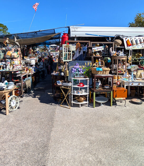 treasure market affordable florida ftr