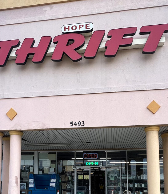 treasures florida bags thrift ftr