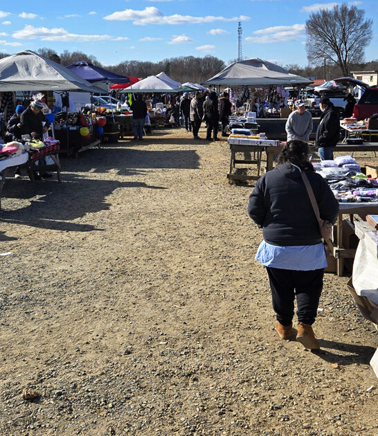 treasures north carolina market ftr