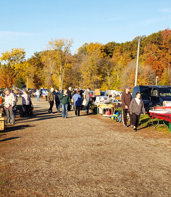 trunk flea market michigan ftr