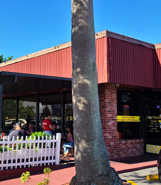 ultimate pork chops florida ftr