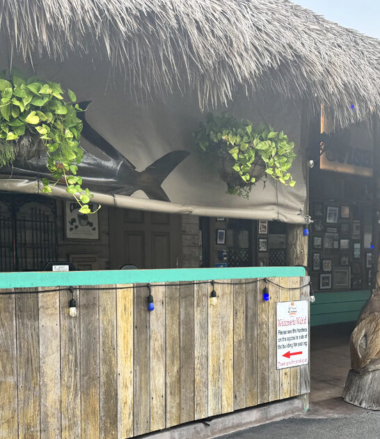 unassuming florida tiki bar ftr