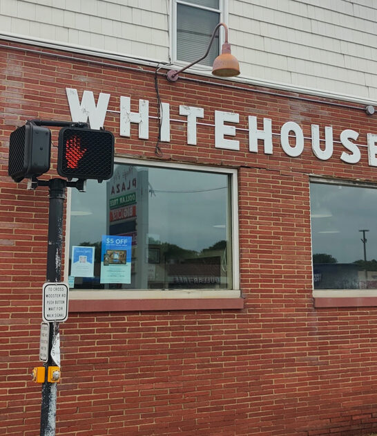 unassuming ohio locals fries ftr