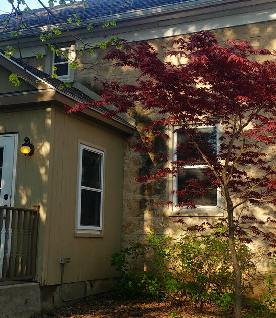 unassuming steakhouses wisconsin steaks ftr