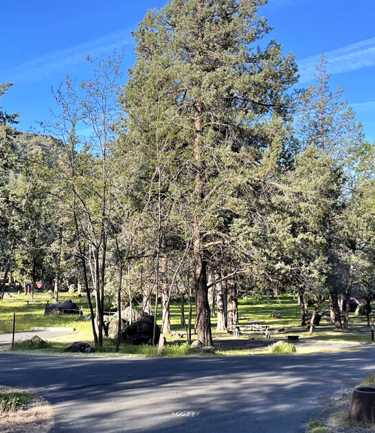 unbelievable dreamy park oregon ftr