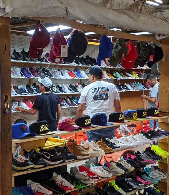 undeniably amazing market florida ftr