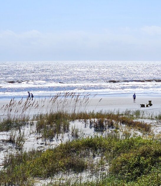 underrated beach south carolina ftr