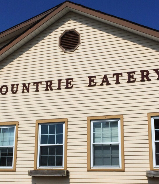 underrated chicken joints delaware ftr