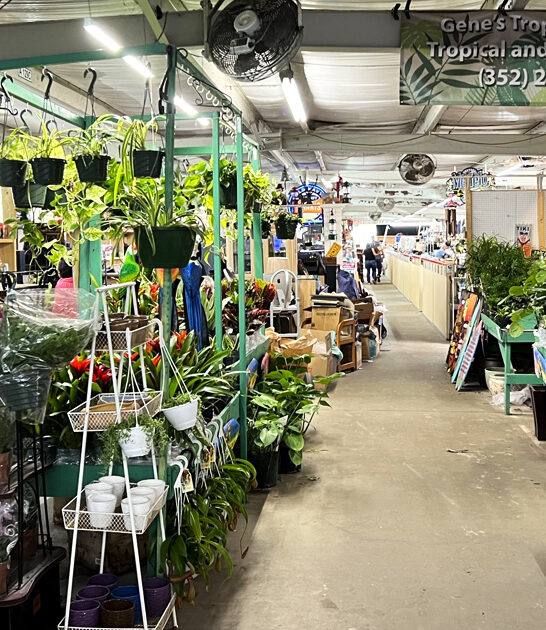 underrated meet florida swap ftr