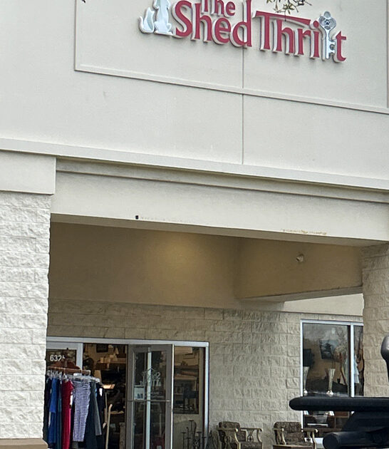 underrated secondhand florida find ftr