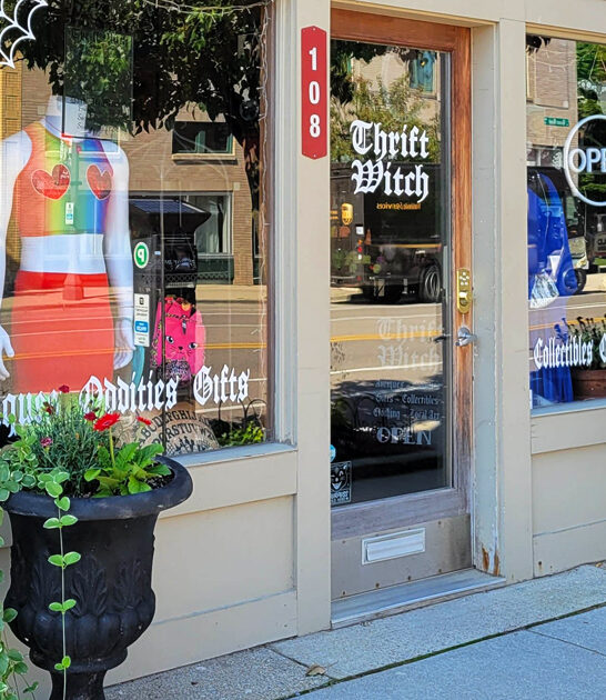 underrated secondhand shop michigan ftr