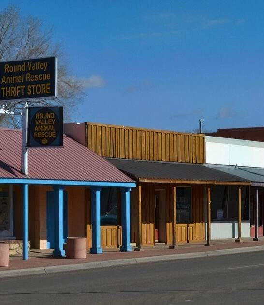 underrated town arizona retire ftr