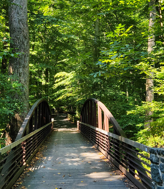 undisturbed state park delaware ftr