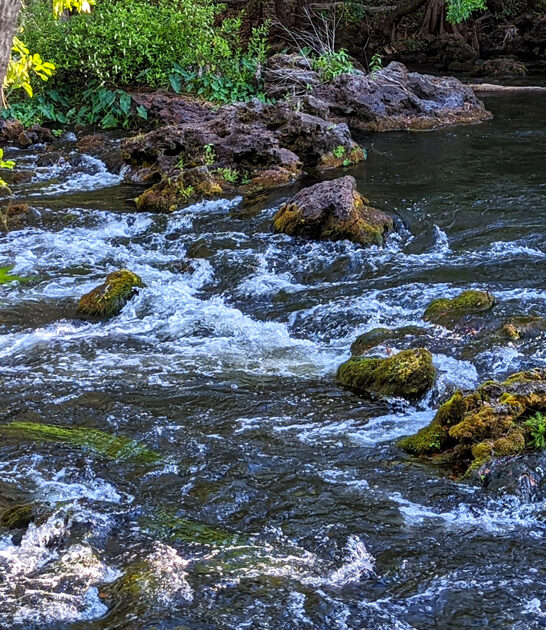 unheard beautiful park florida ftr