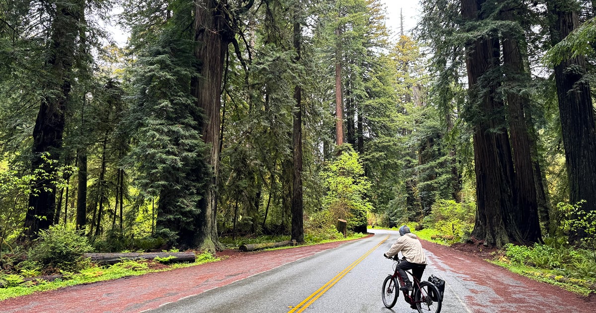 The Scenic 10-Mile Drive In California You’ve Probably Never Heard Of