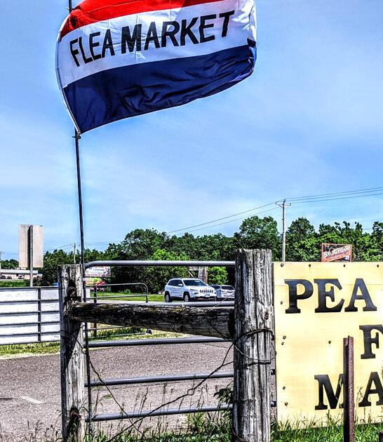 unreal wisconsin markets flea ftr