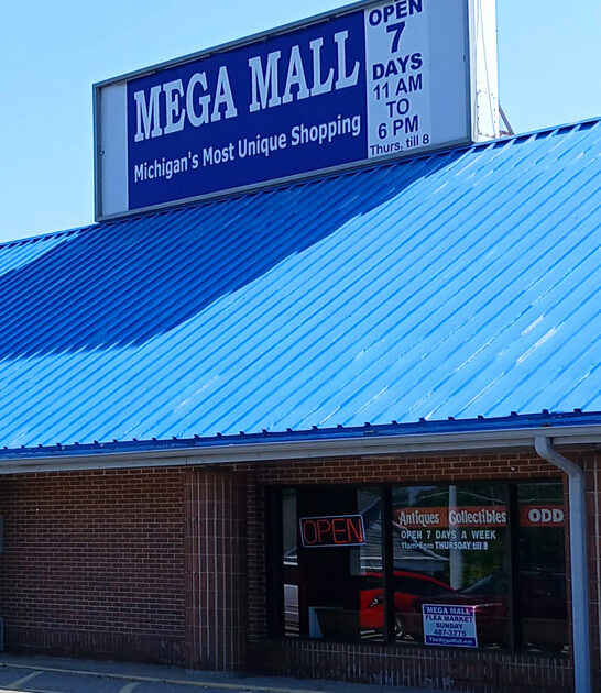 vintage michigan massive bargains ftr