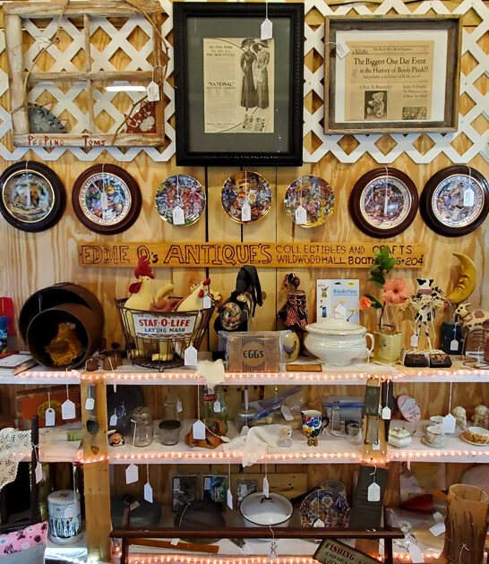 vintage store florida gigantic ftr
